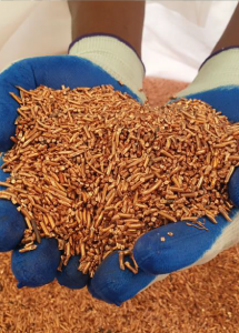 Facilities & Technology - MEPSB