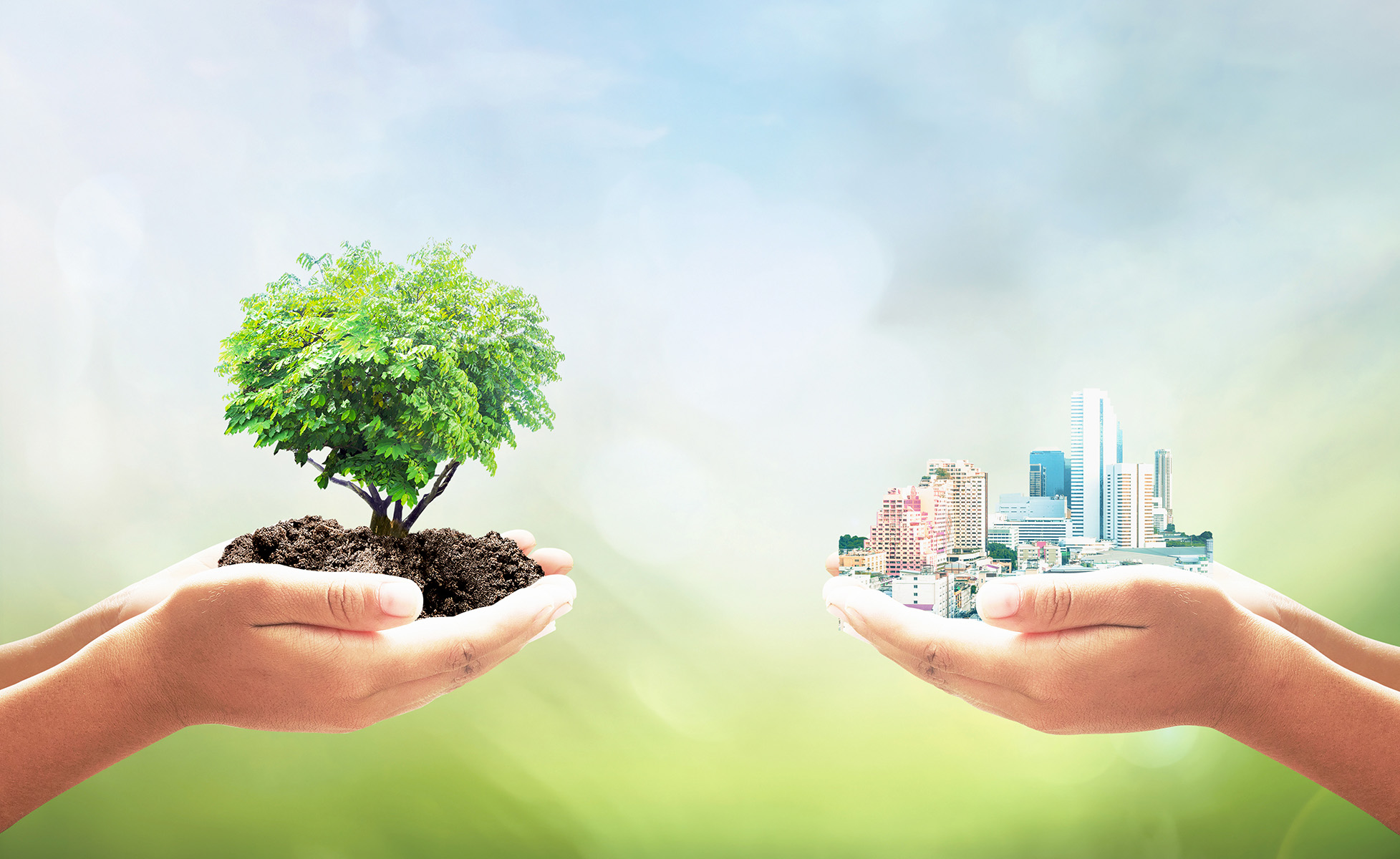 Sustainability Programmes - MEPSB